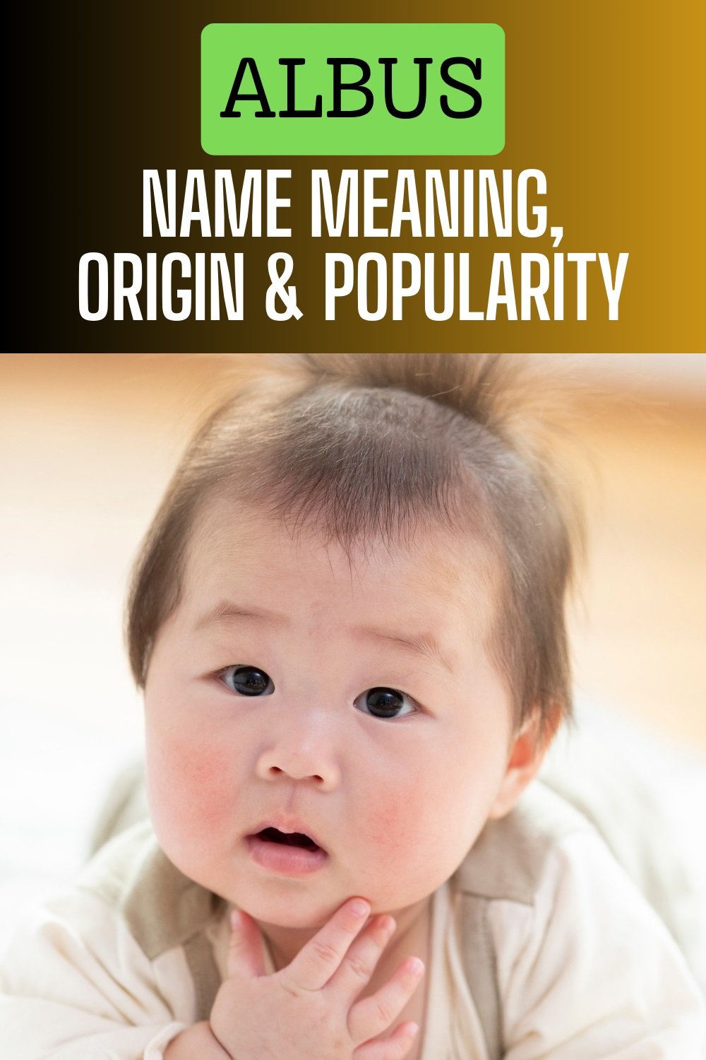 Albus - Name Meaning, Origin, And Popularity - The Get Real Mom