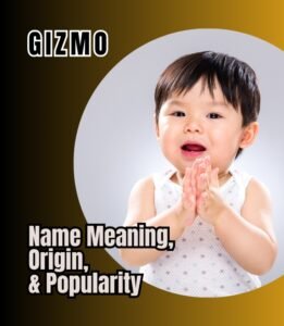 Gizmo - Name Meaning, Origin, And Popularity - The Get Real Mom